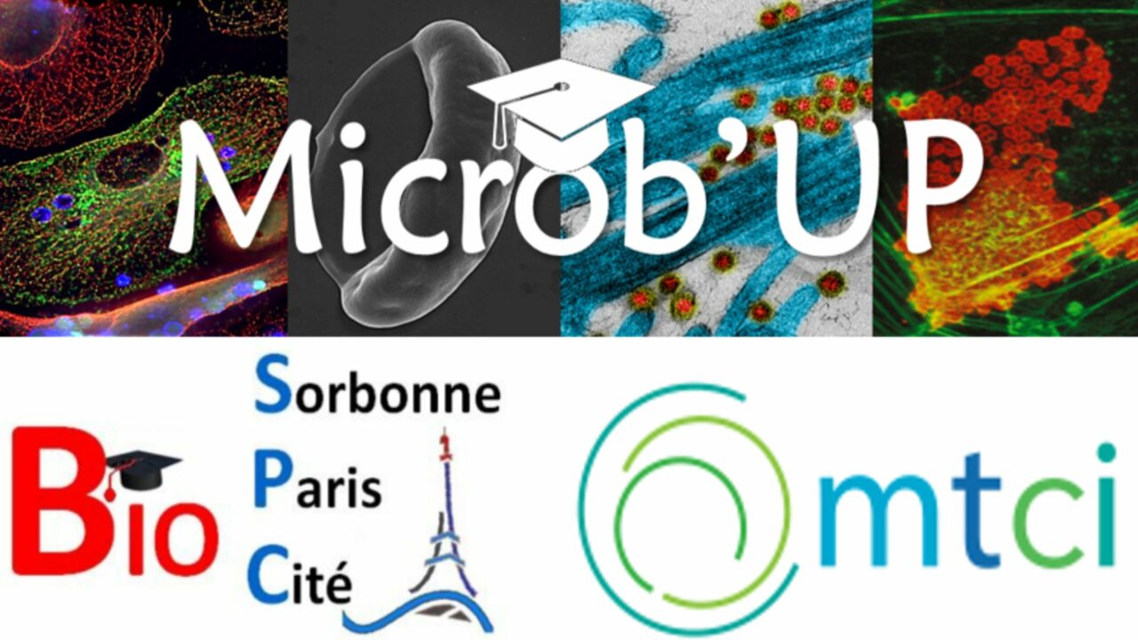 Doctoral schools | Microb'UP